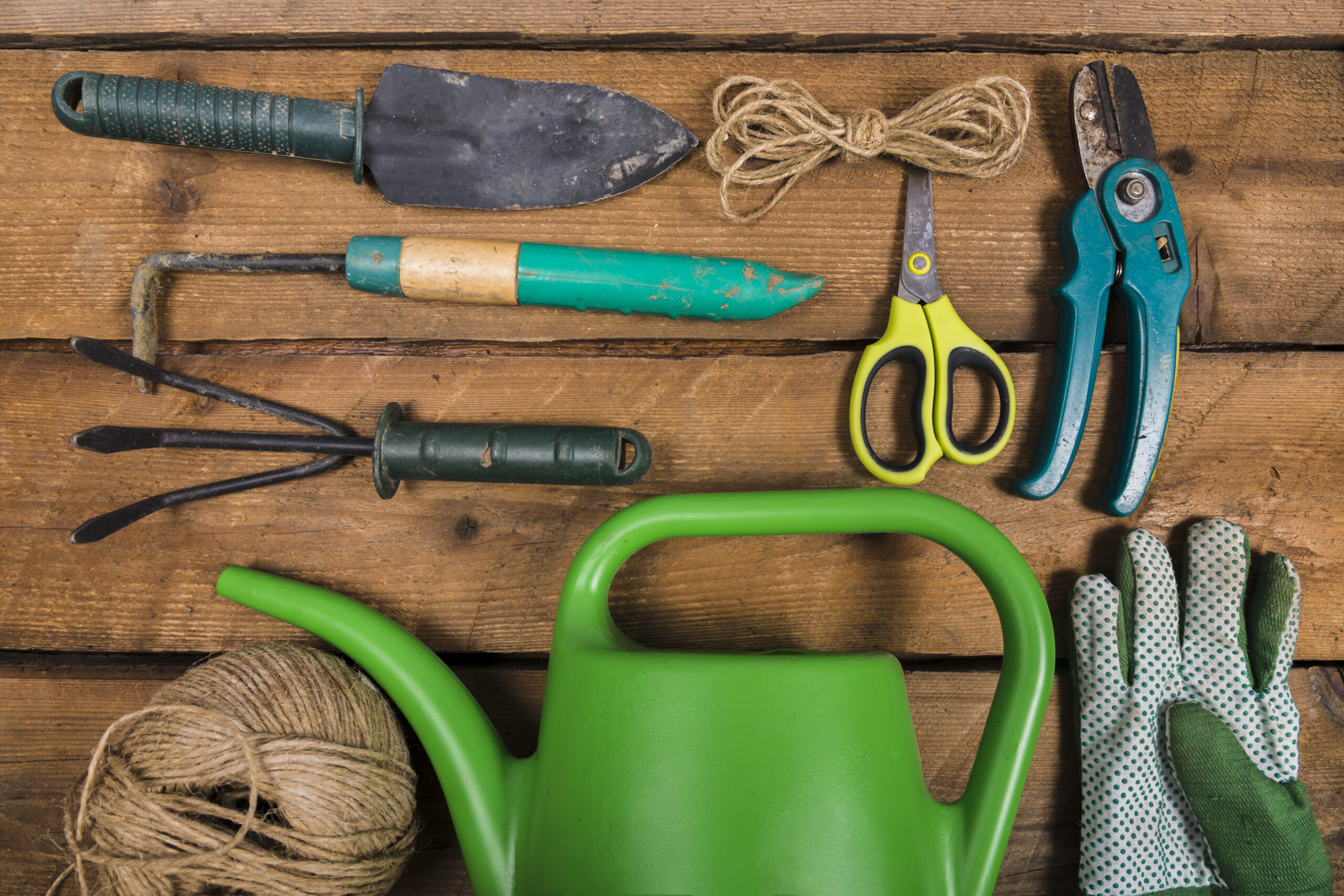 The Essential Toolkit: Why Quality Garden Tools Transform Your Planting ...