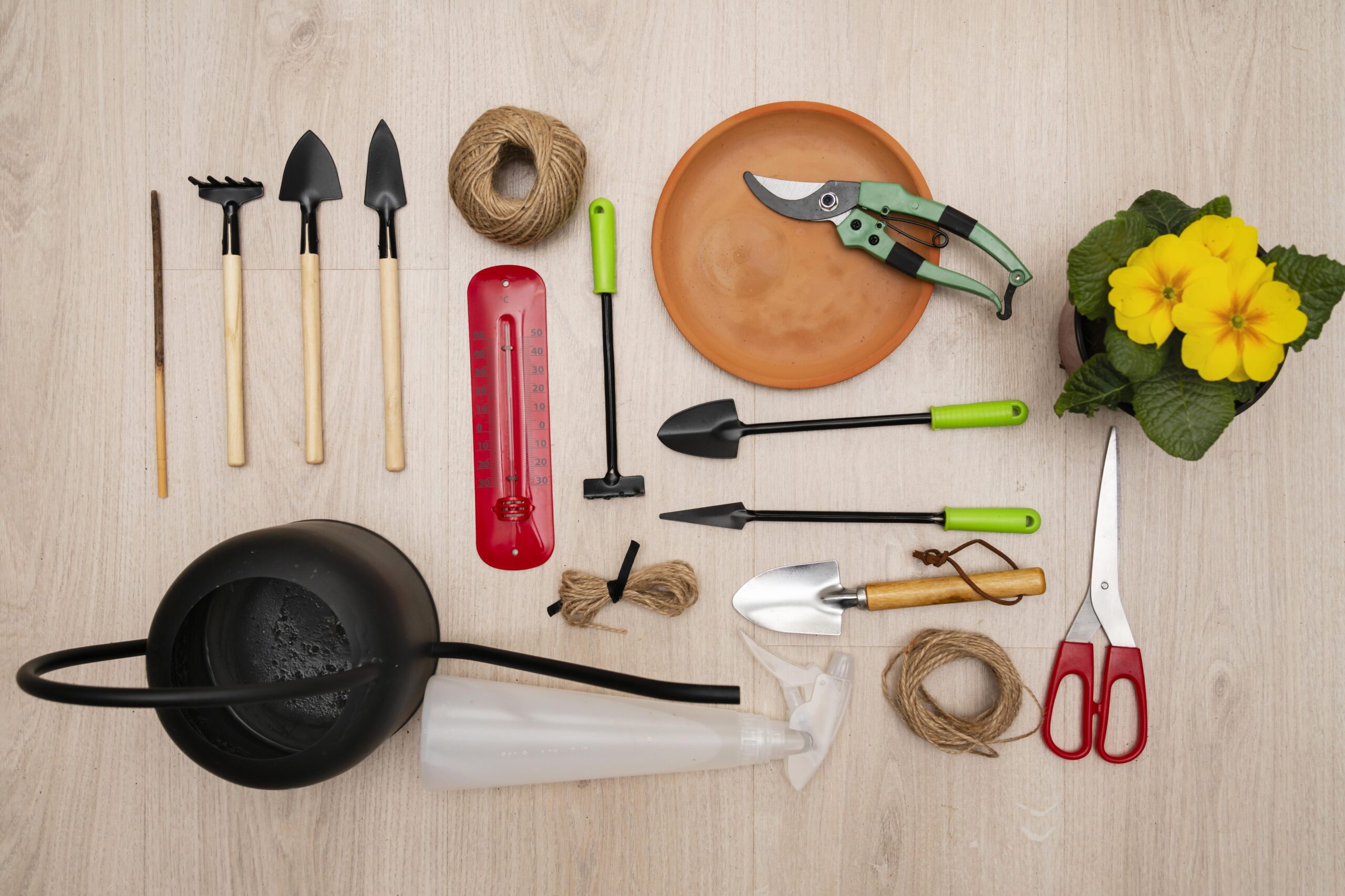 How the Right Garden Tools Can Transform Plant Health and Reduce ...